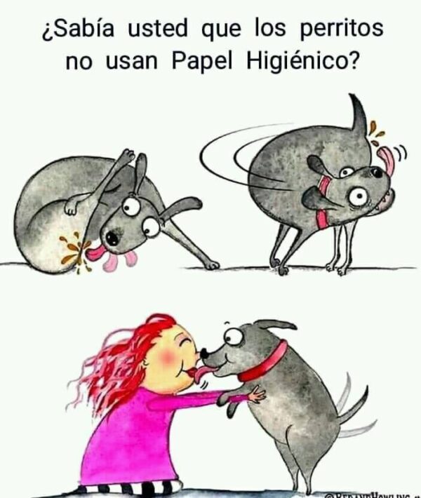 Memes del firulais - Memes en Español, la mejor recopilacion de memes ...