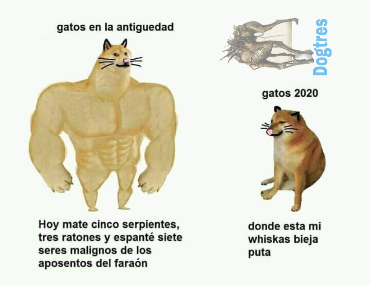 Doge meme vs cheems meme perro grande perro chico - Memes en Español ...