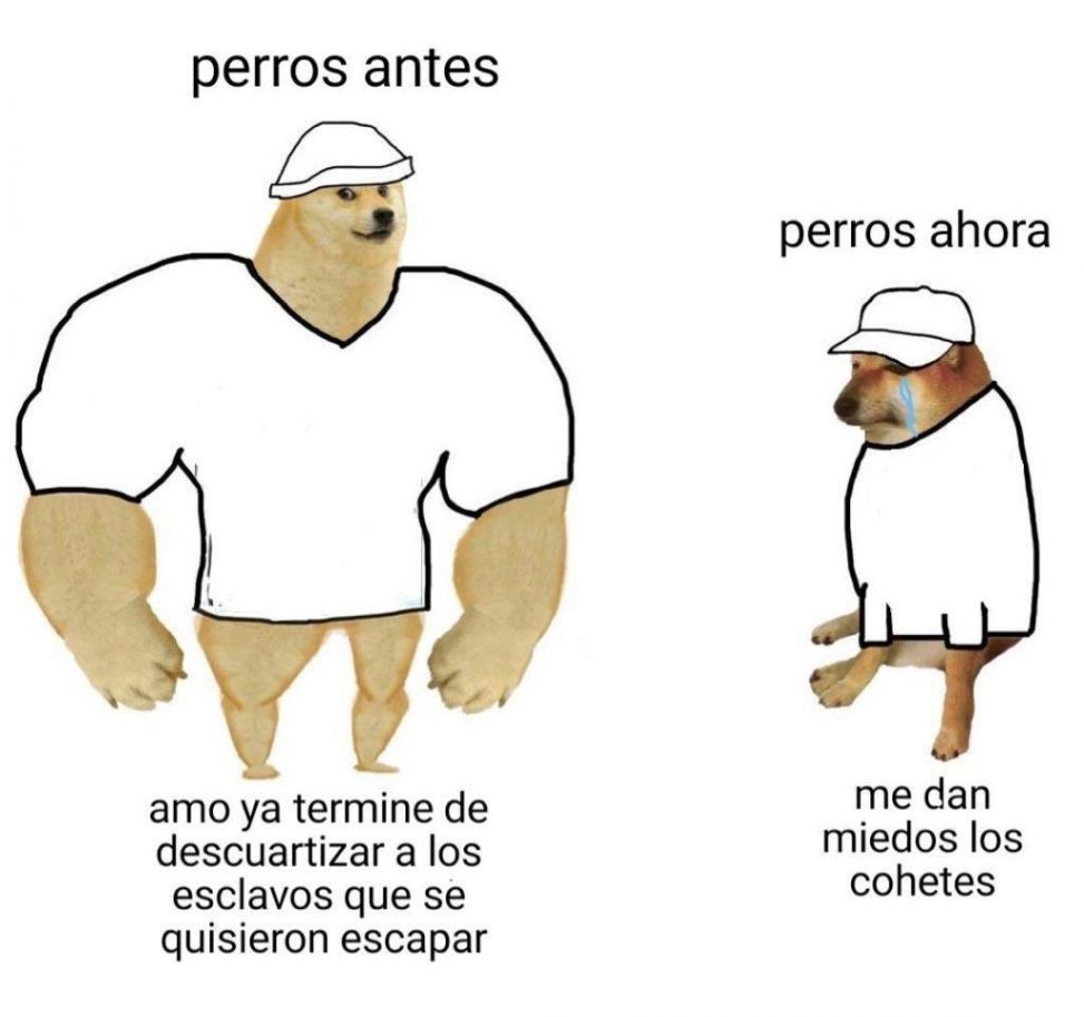 Doge meme vs cheems meme perro grande perro chico - Memes en Español ...