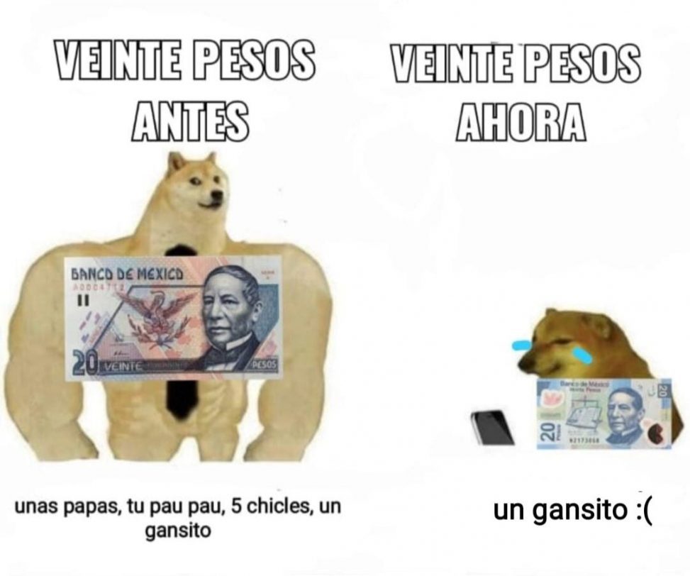 Doge meme vs cheems meme perro grande perro chico - Memes en Español ...