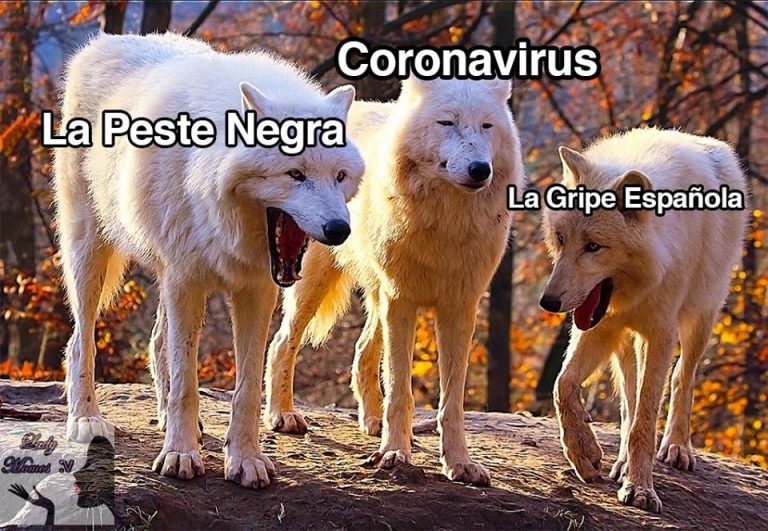 Memes de los Lobos riendose - Memes en Español, la mejor recopilacion ...