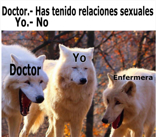 Memes de los Lobos riendose - Memes en Español, la mejor recopilacion ...