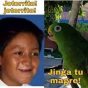 Memes de Gangosos - Memes en Español, la mejor recopilacion de memes lo ...